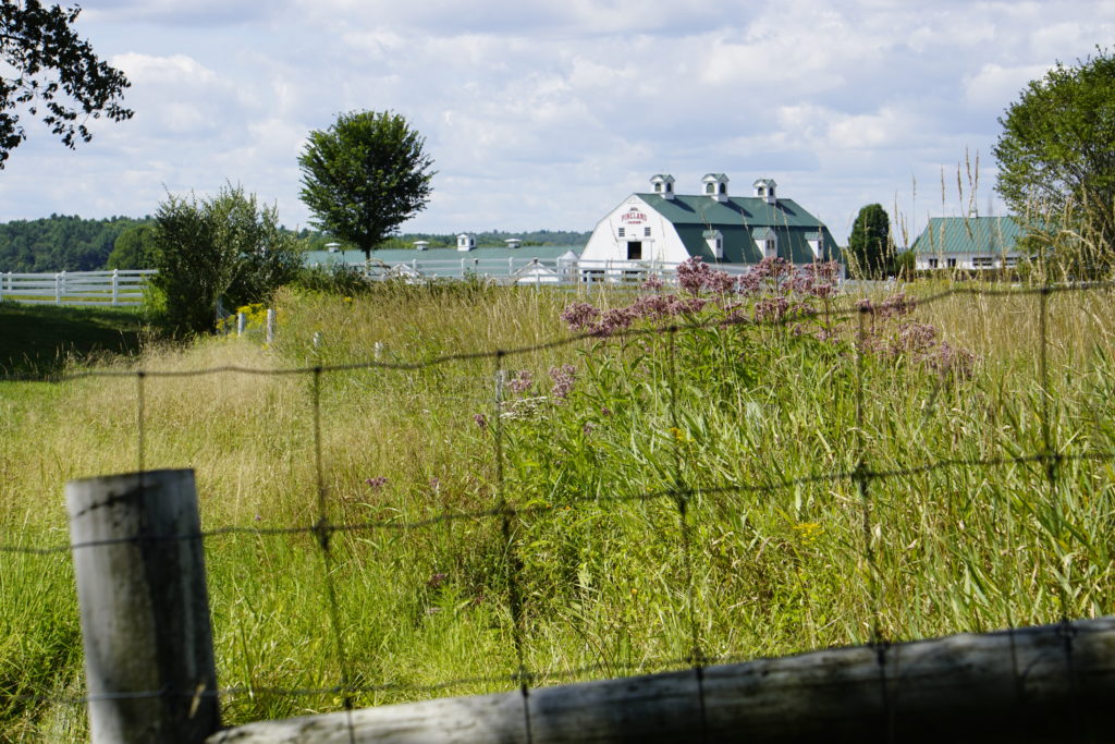 Hiking - Pineland Farms, Inc.