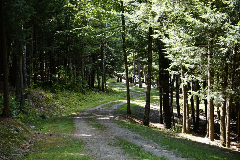 Hiking - Pineland Farms, Inc.