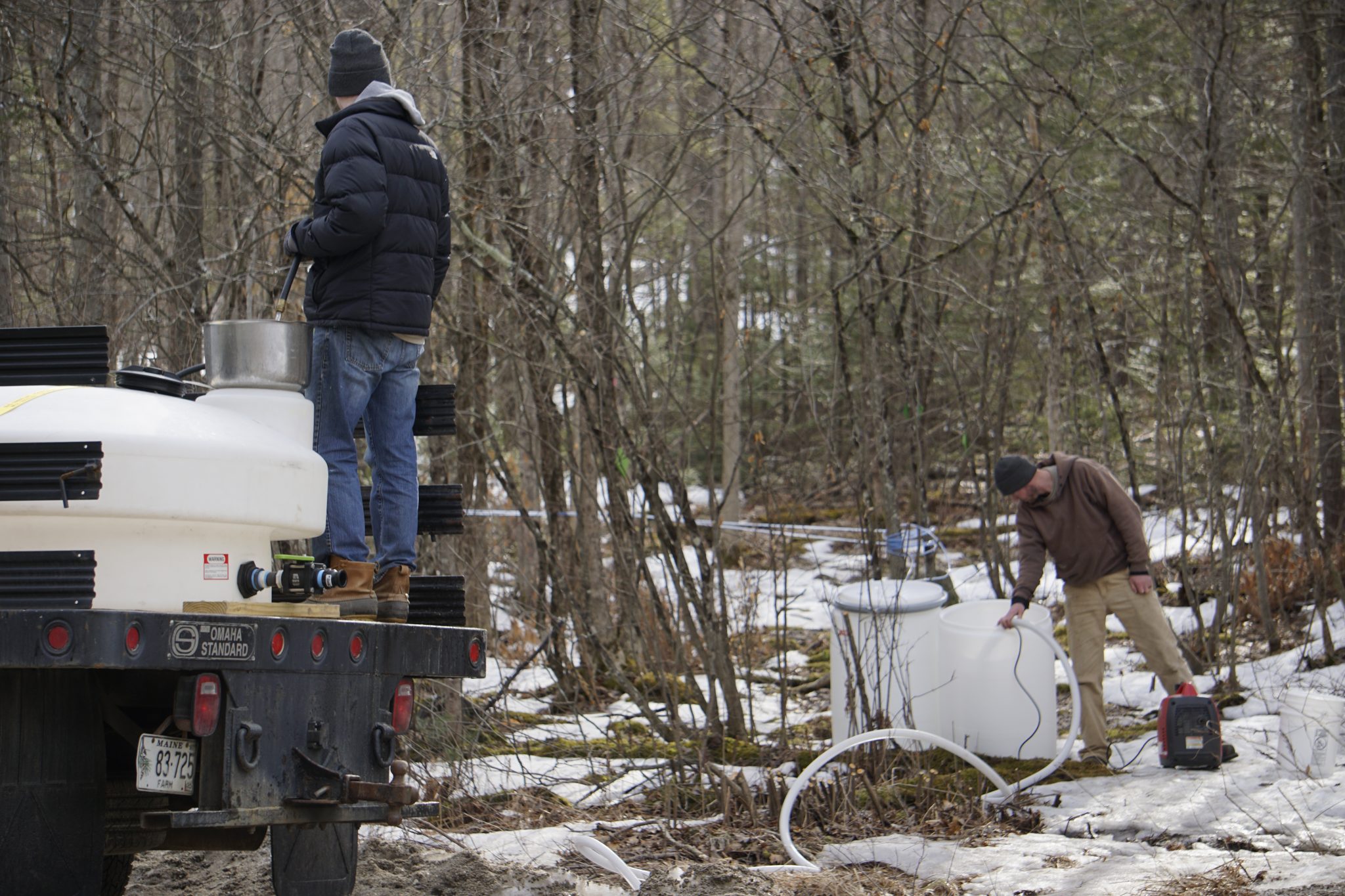 Maple Sugaring Process - Pineland Farms, Inc.