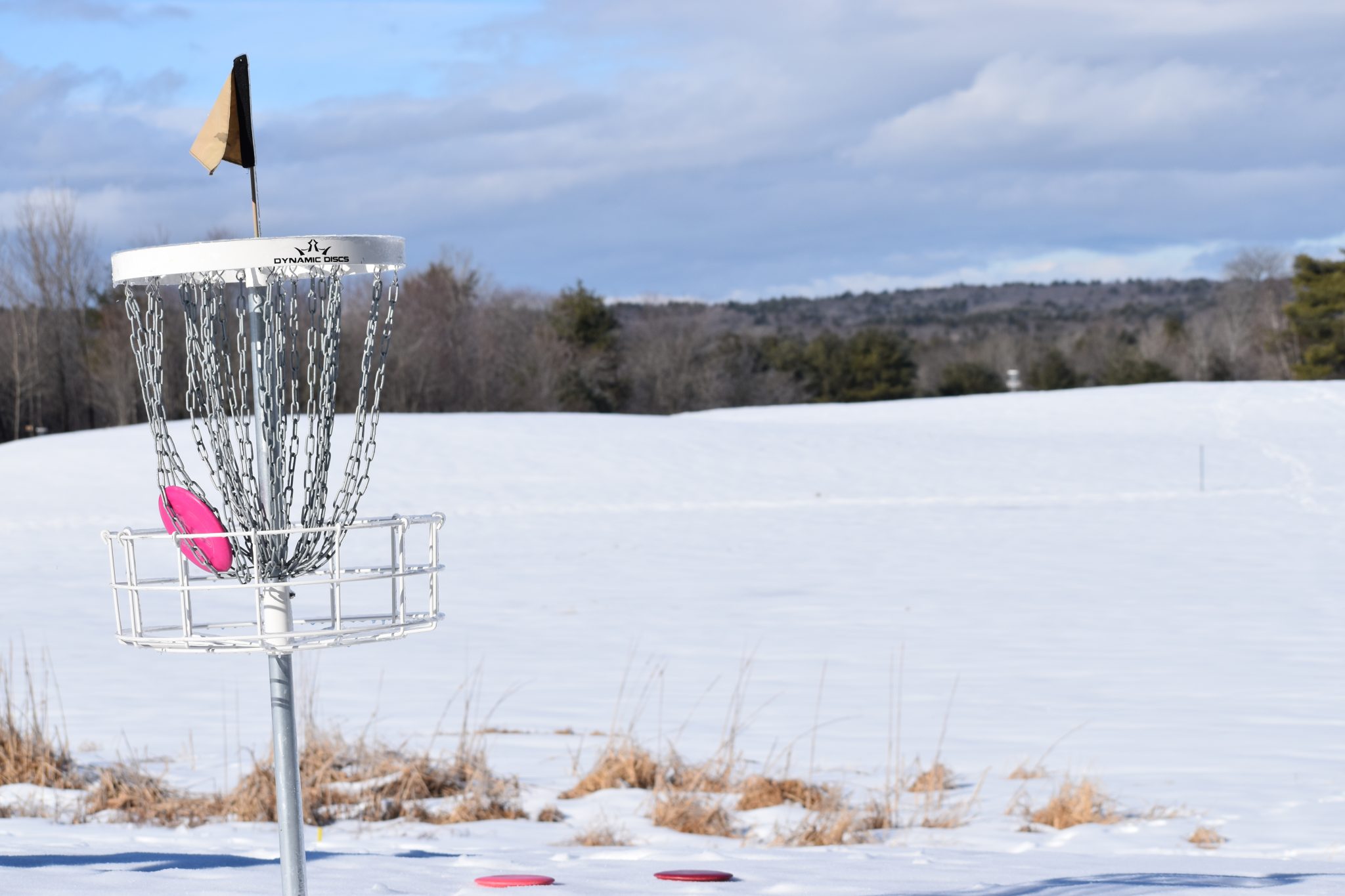 Disc Golf - Pineland Farms, Inc. - Patriot and Minuteman Disc Golf Courses
