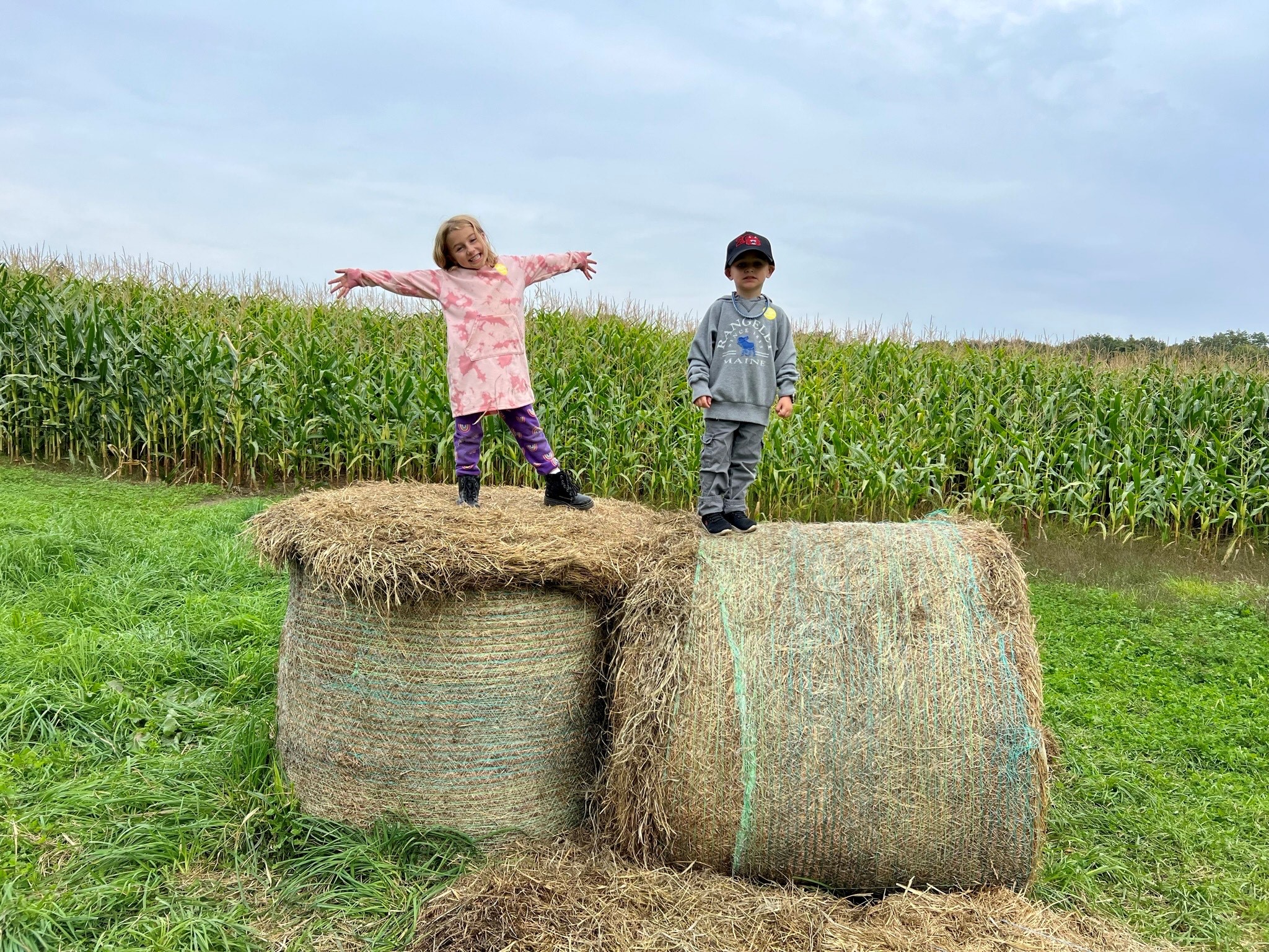Surviving the Corn Maze: Tips & Tricks - Pineland Farms, Inc.