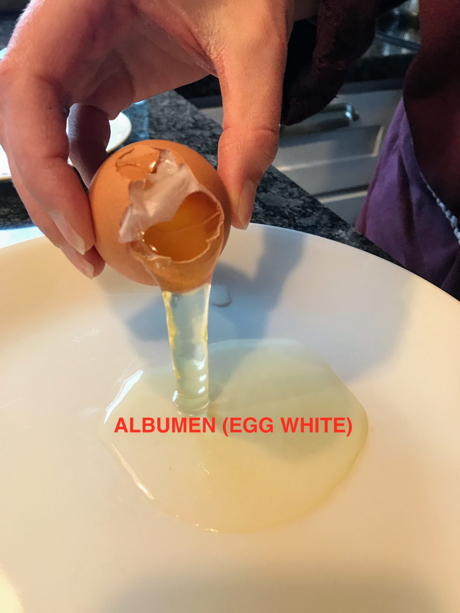 EGGCEPTIONAL ACTIVITIES TO DO AT HOME - Pineland Farms, Inc.