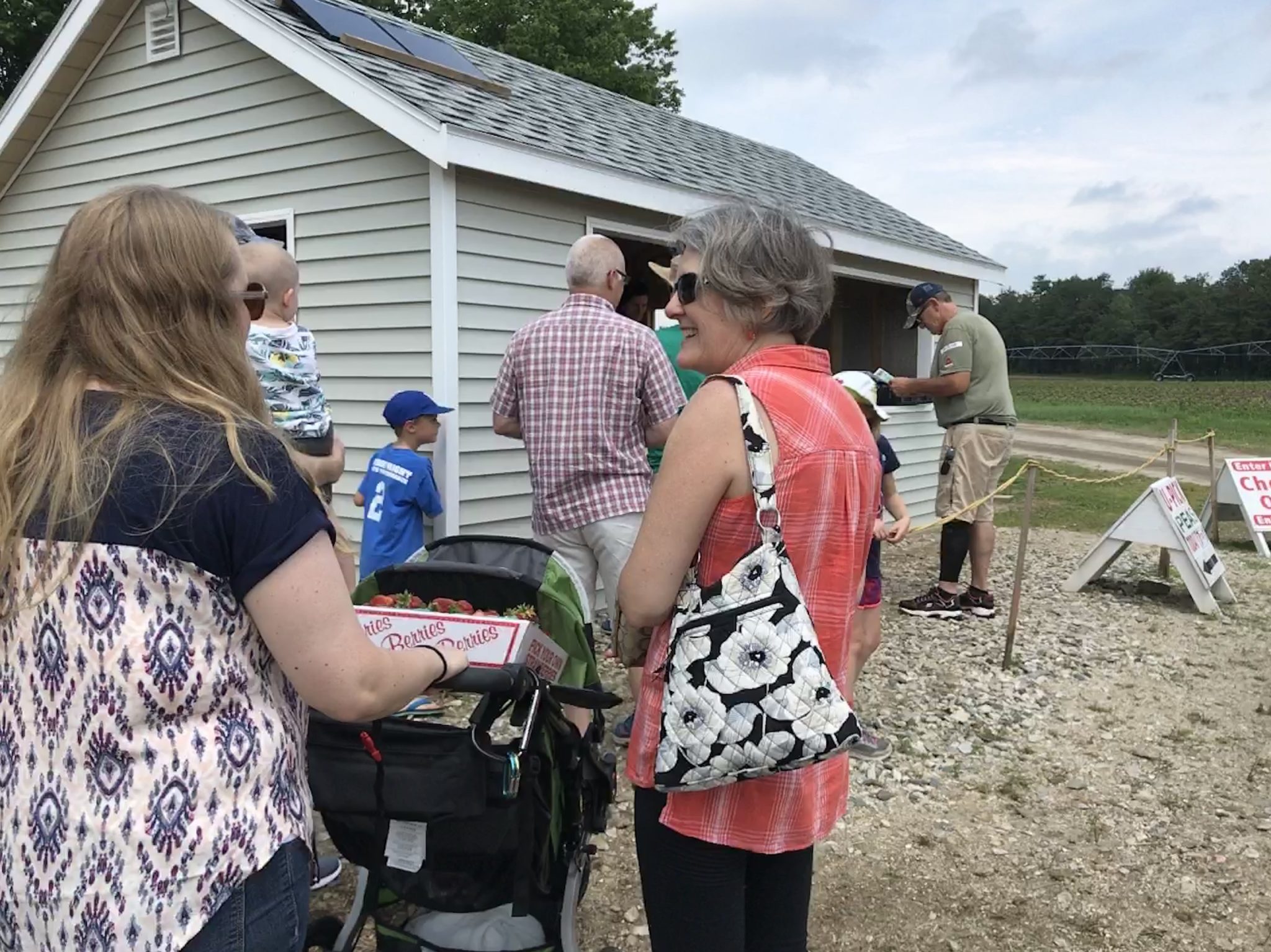 Strawberry Picking 101: Tips for a Fun Day Out - Pineland Farms, Inc.