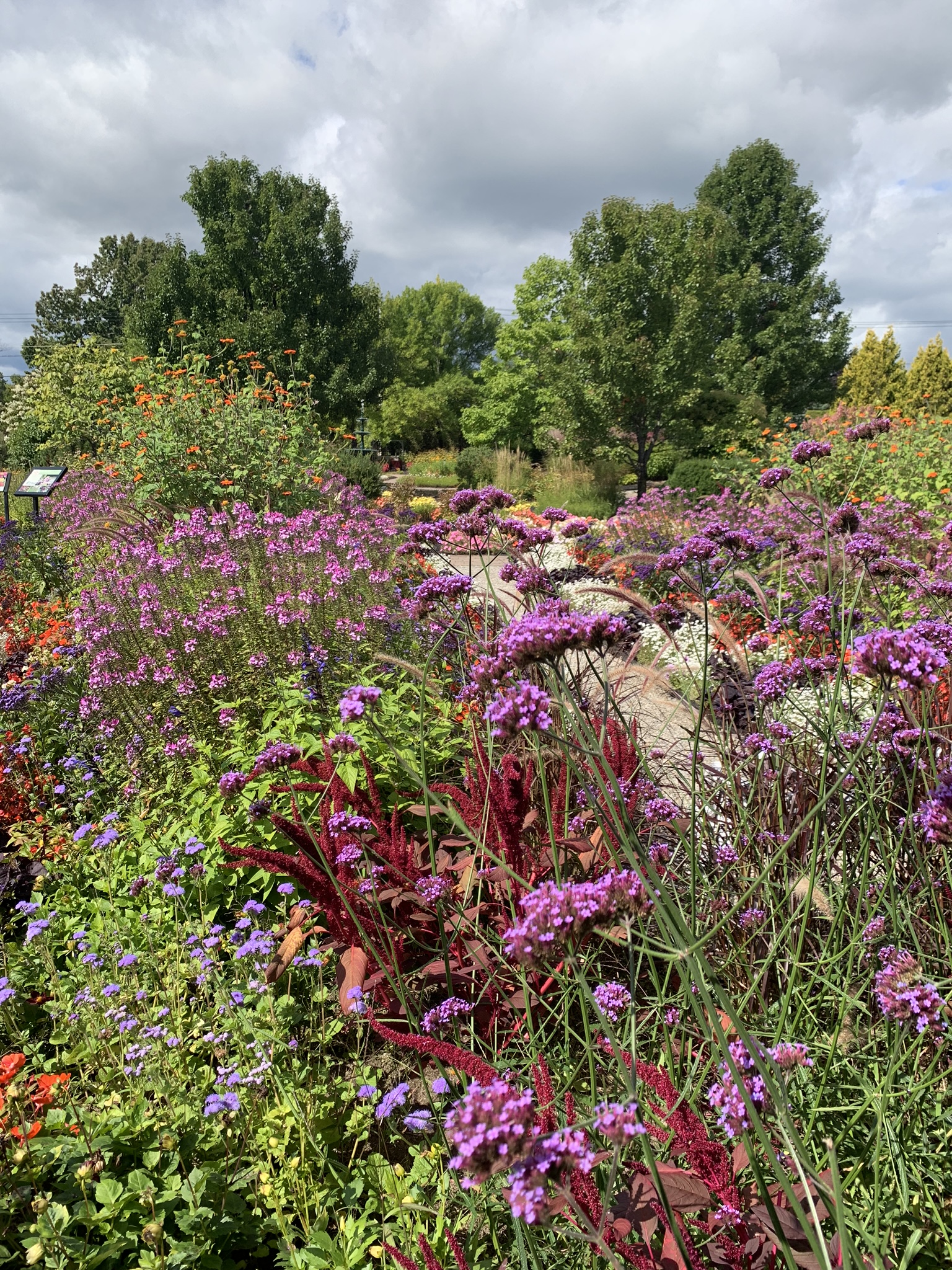 1-Acre Monarch Waystation at Pineland Farms - Pineland Farms, Inc.