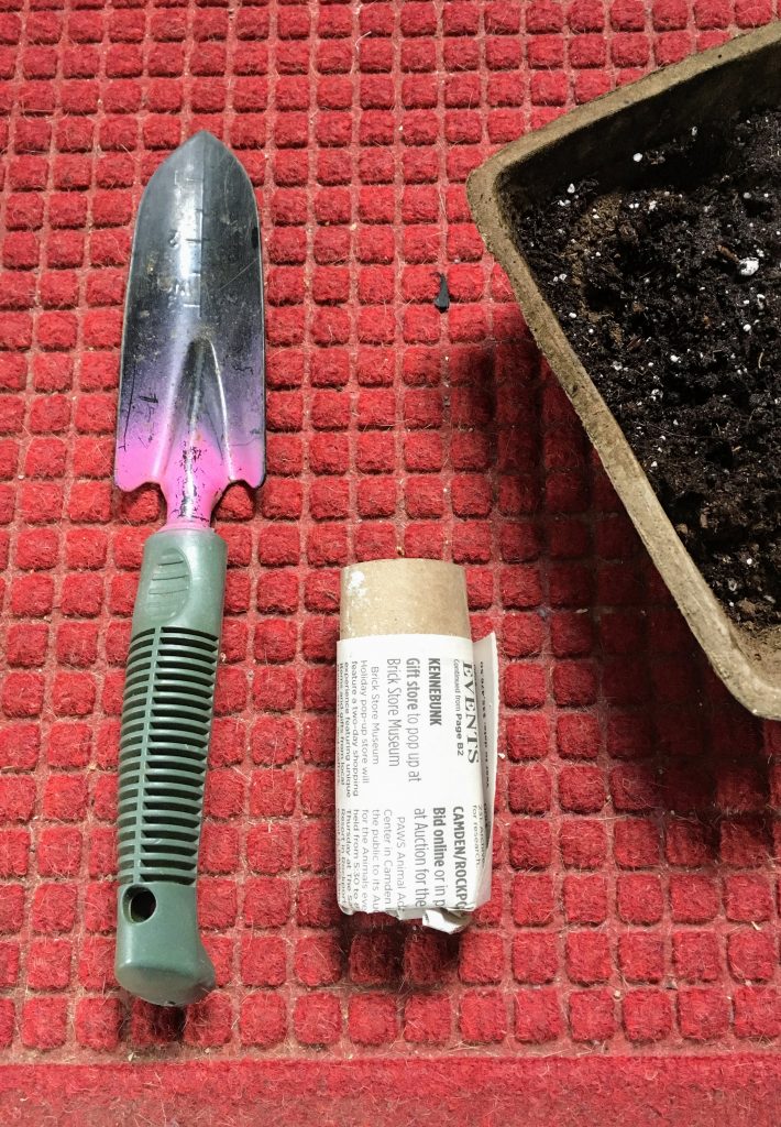 Make your own biodegradable planting pot! - Pineland Farms, Inc.