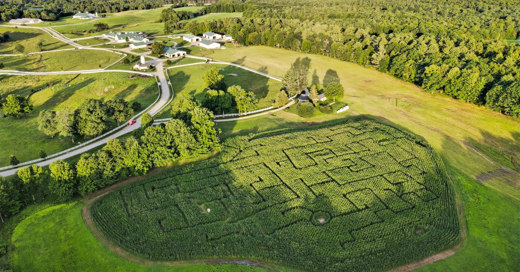 Best Corn Mazes to Visit This Fall in Maine - Pineland Farms, Inc.