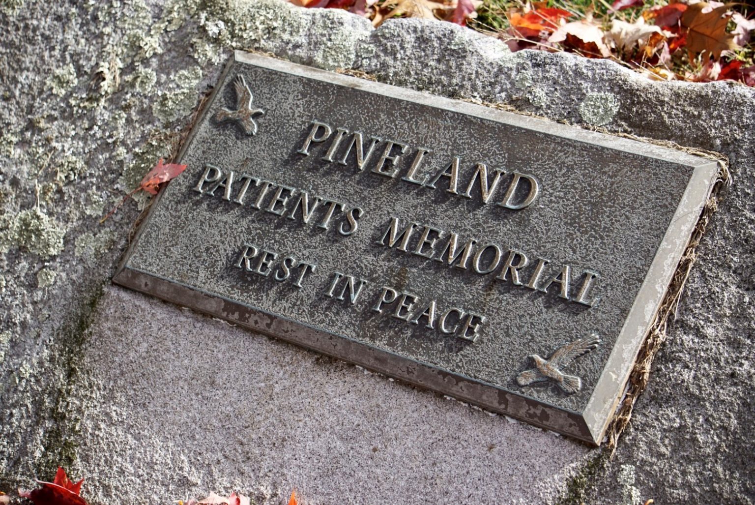 The History of Pineland & Malaga Island - Pineland Farms, Inc.