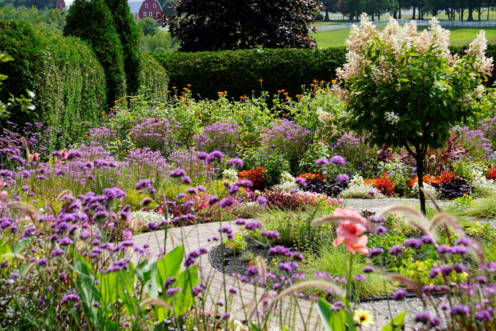 1-Acre Monarch Waystation at Pineland Farms - Pineland Farms, Inc.