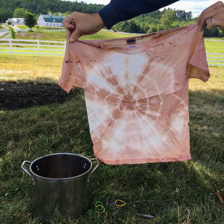 Natural Tie-Dye: At Home Activity - Pineland Farms, Inc.