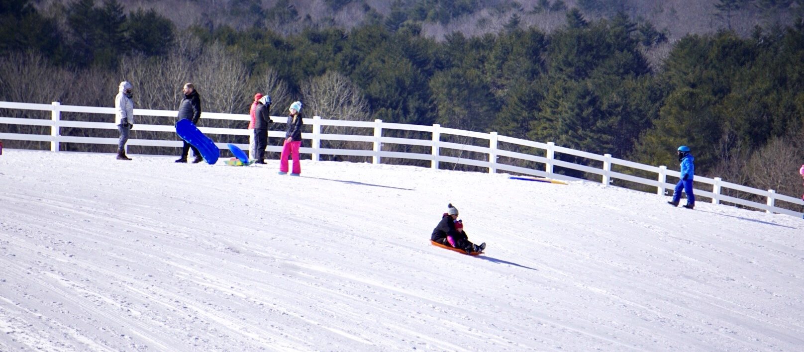 Welcome to Pineland Farms - Pineland Farms, Inc.